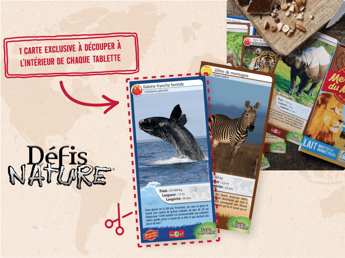 Cartes à collectionner – Merveilles du Monde