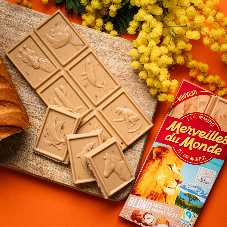Tablettes chocolat – Merveilles du Monde